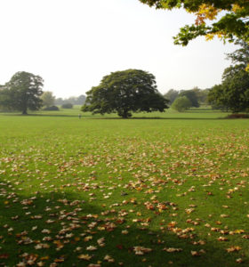 Prospect Park | Reading’s largest open space - Reading West, Berkshire